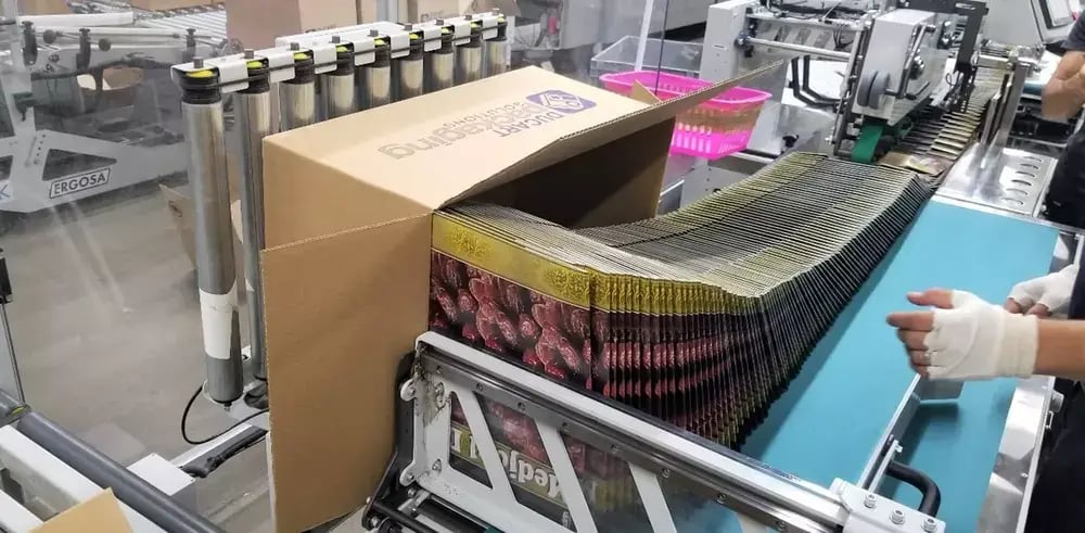 Ergosa C Vertical Mode: Is It Right for My Company?